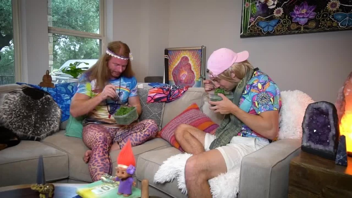 Kale, Seamoss, and Quinoa – The Nutrient-Density Debate Unveiled – MonsterKong